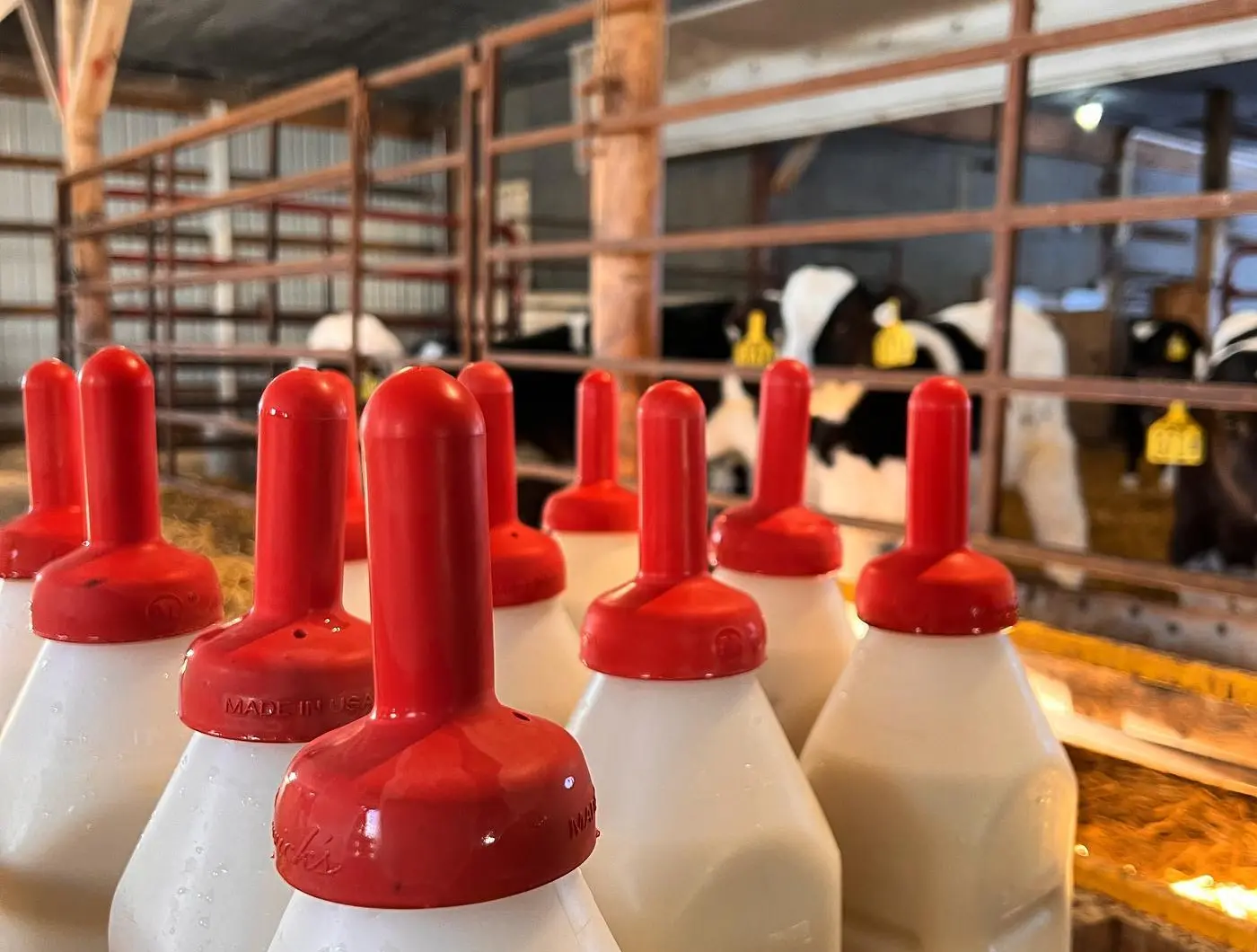 Spadgenske Dairy | Cass-Clay® Creamery